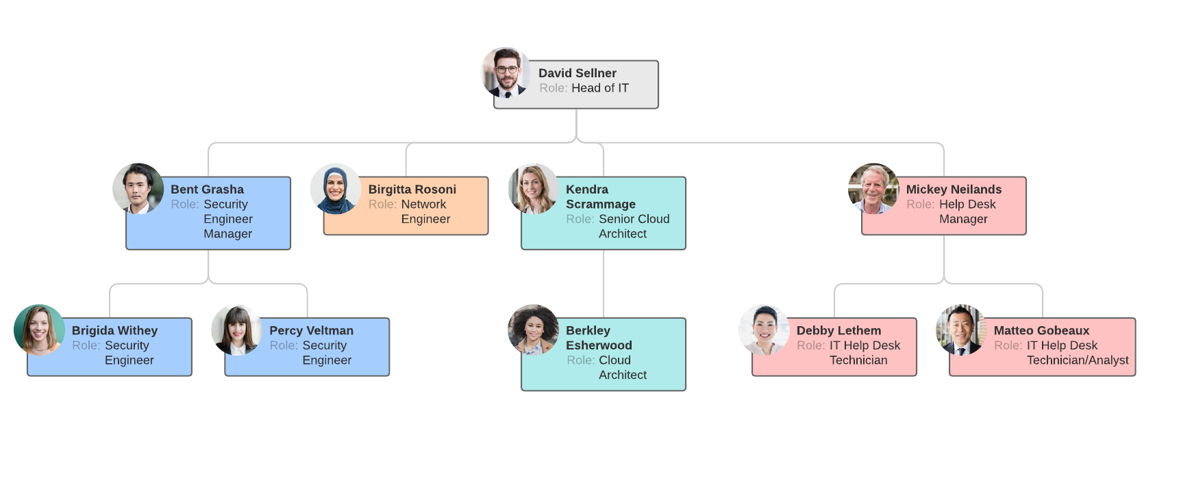 A Traditional Organizational Structure Separated Into Departments