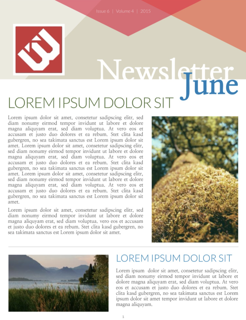 20 Best Newsletter Design Ideas Examples To Inspire You